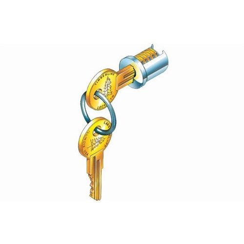 CompX LP-100 Lock Plug for Use In All Removable Core Cylinder Bodies ...